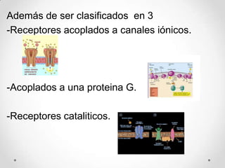 Super familias de receptores | PPTX