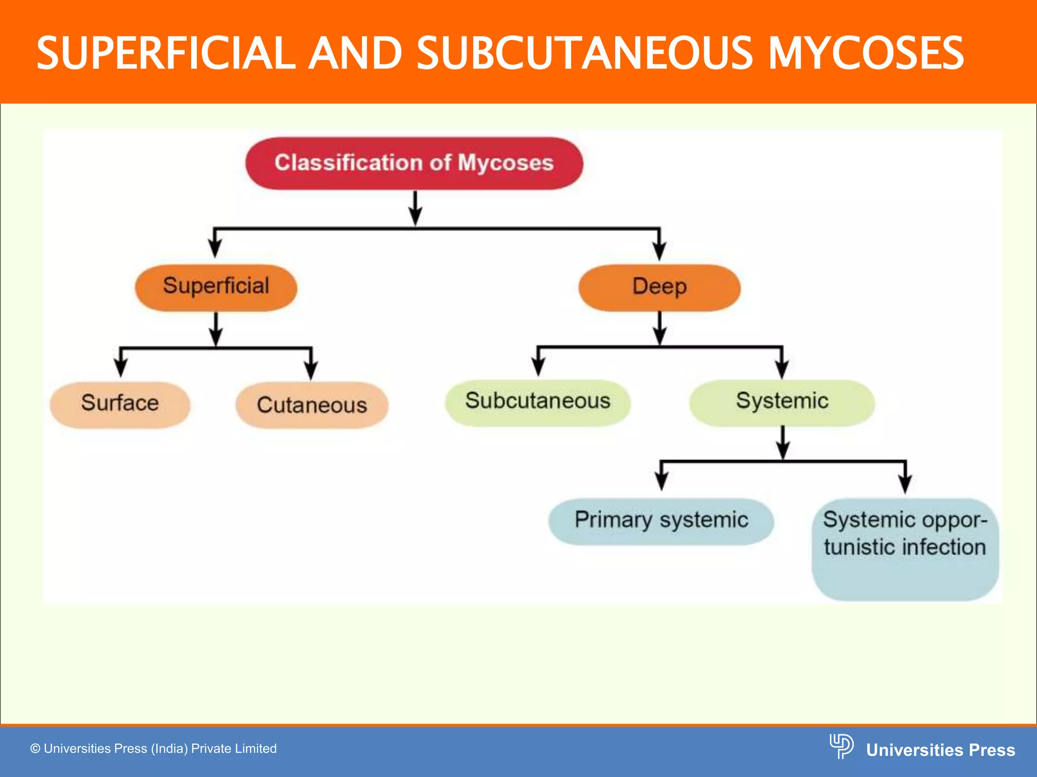Superfical and Subcut fungal inf.pptx