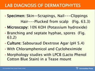 Superfical and Subcut fungal inf.pptx