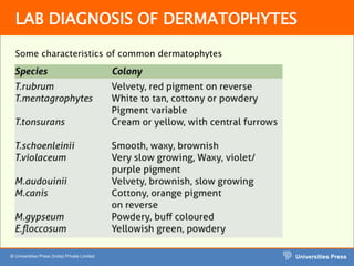 Superfical and Subcut fungal inf.pptx