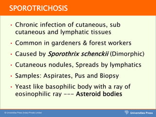 Superfical and Subcut fungal inf.pptx