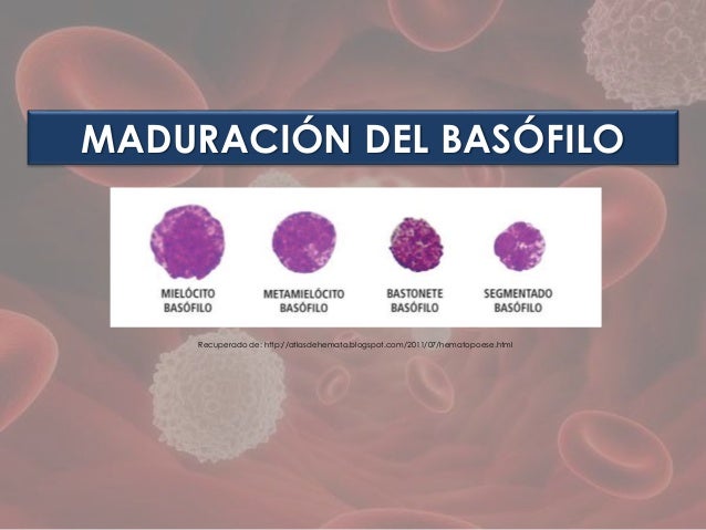 FICHERO HEMATOLOGÍA 2014