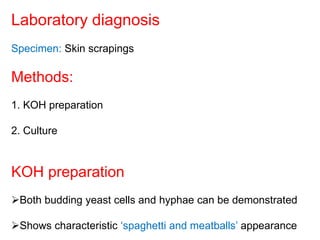 Superficial and cutaneous mycoses | PPTX