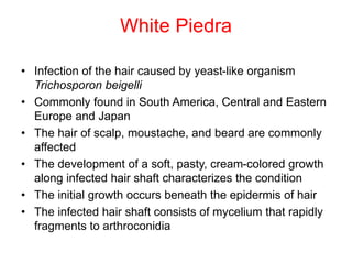 Superficial and cutaneous mycoses | PPTX