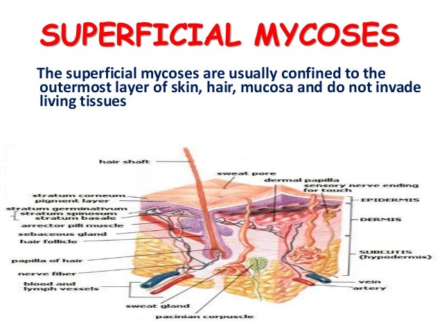 Superficial and cutaneous mycoses