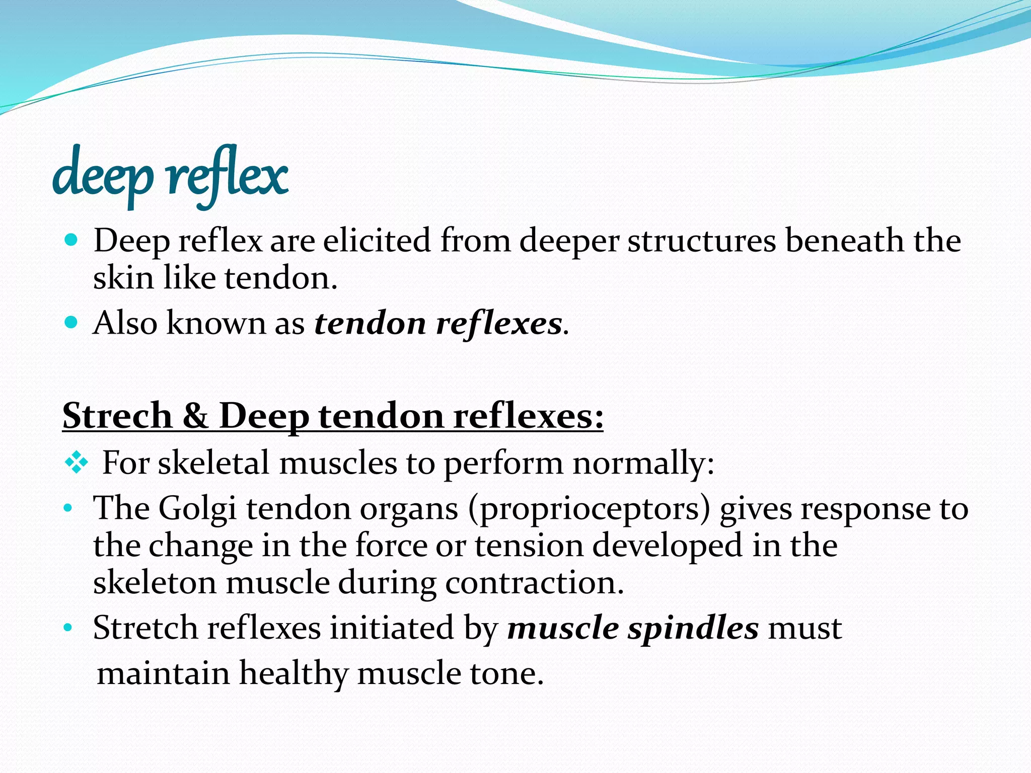 Superficial and deep reflexes! | PPTX