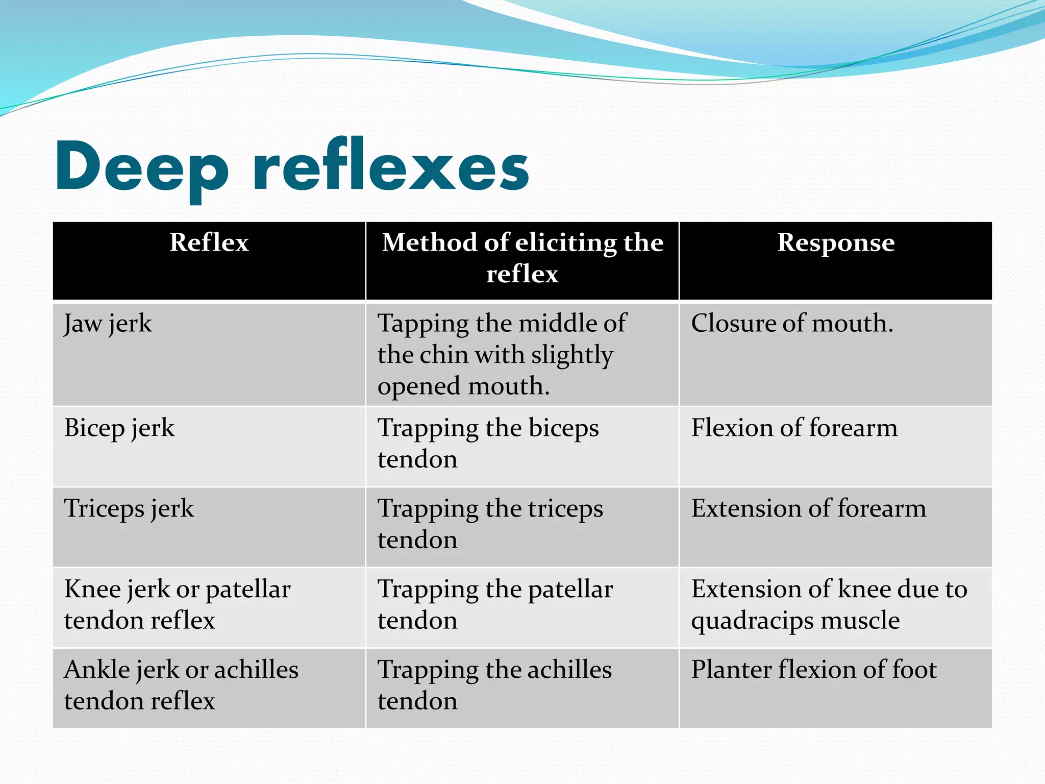 Superficial and deep reflexes! | PPTX