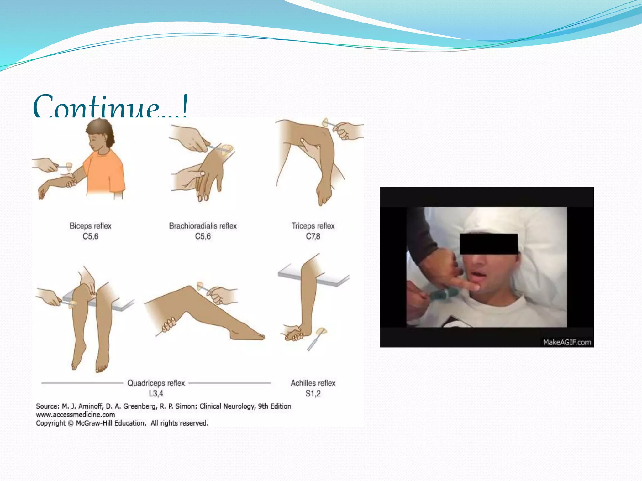 Superficial and deep reflexes! | PPTX