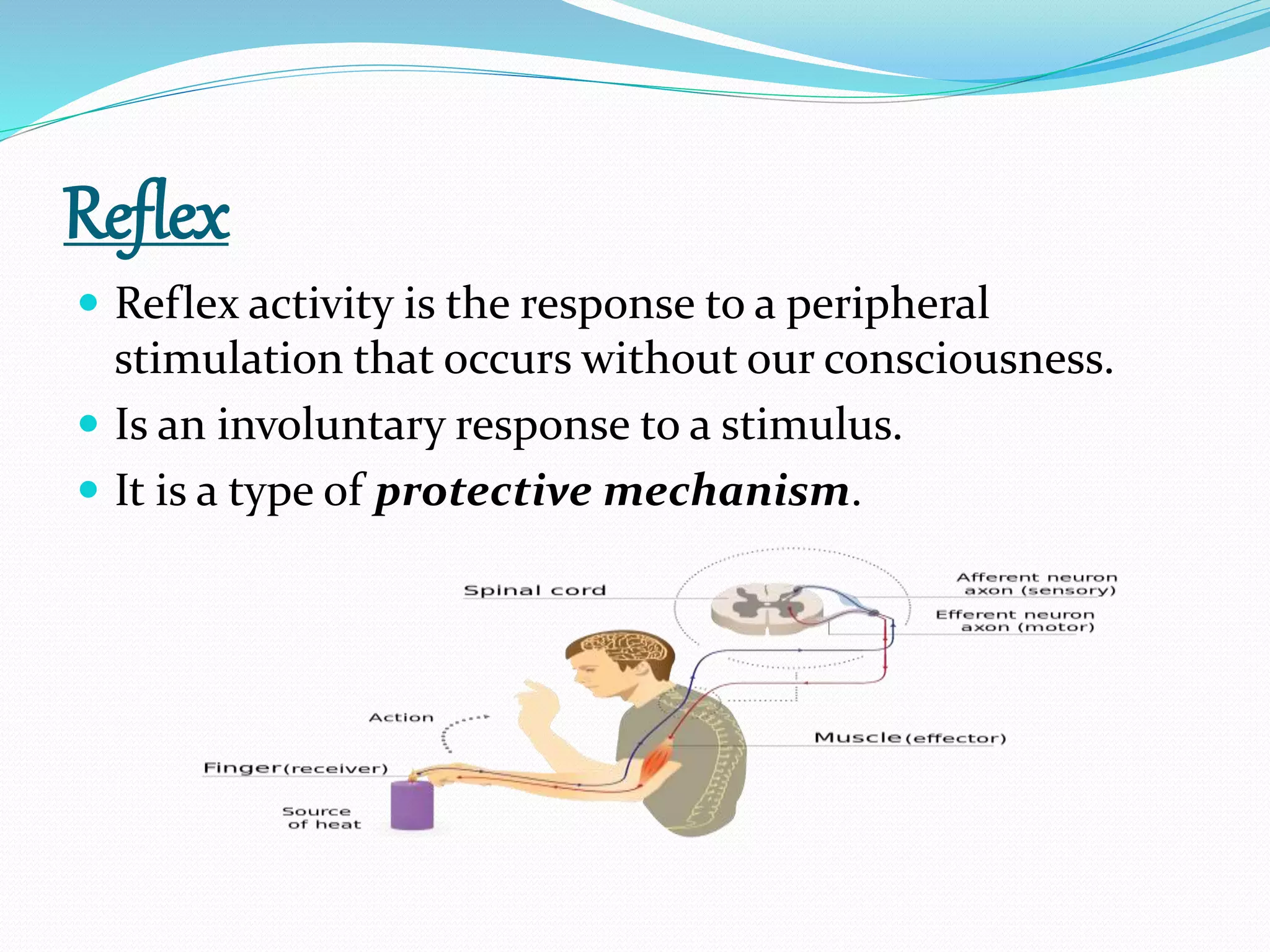 Superficial and deep reflexes! | PPTX
