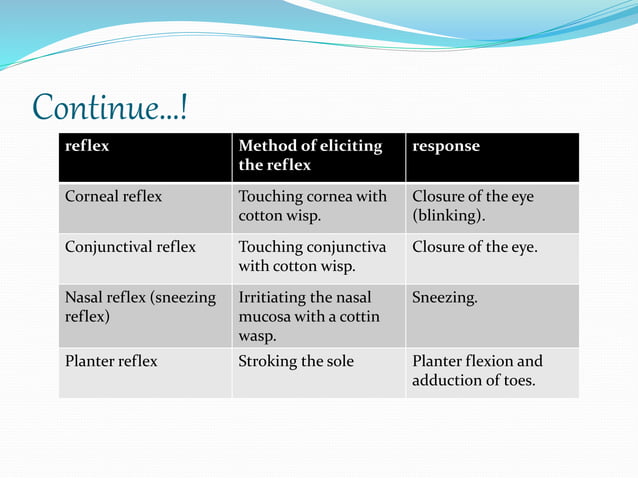 Superficial and deep reflexes! | PPTX