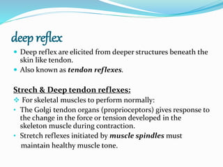 Superficial and deep reflexes! | PPTX