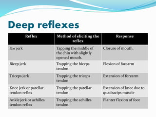 Superficial and deep reflexes! | PPTX