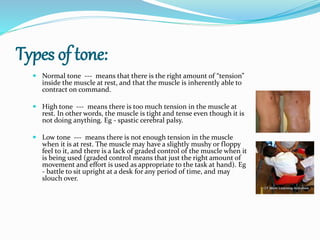 Superficial and deep reflexes! | PPTX