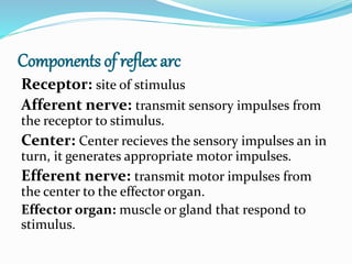 Superficial and deep reflexes! | PPTX