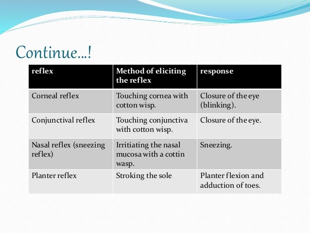 Superficial and deep reflexes!