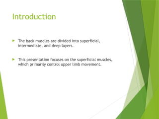Superficial_Back_Muscles_Presentation[1].pptx