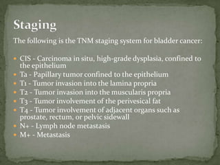 Superficial bladder cancer | PPTX