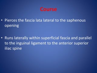 Superficial circumflex iliac artery perforator flap | PPTX