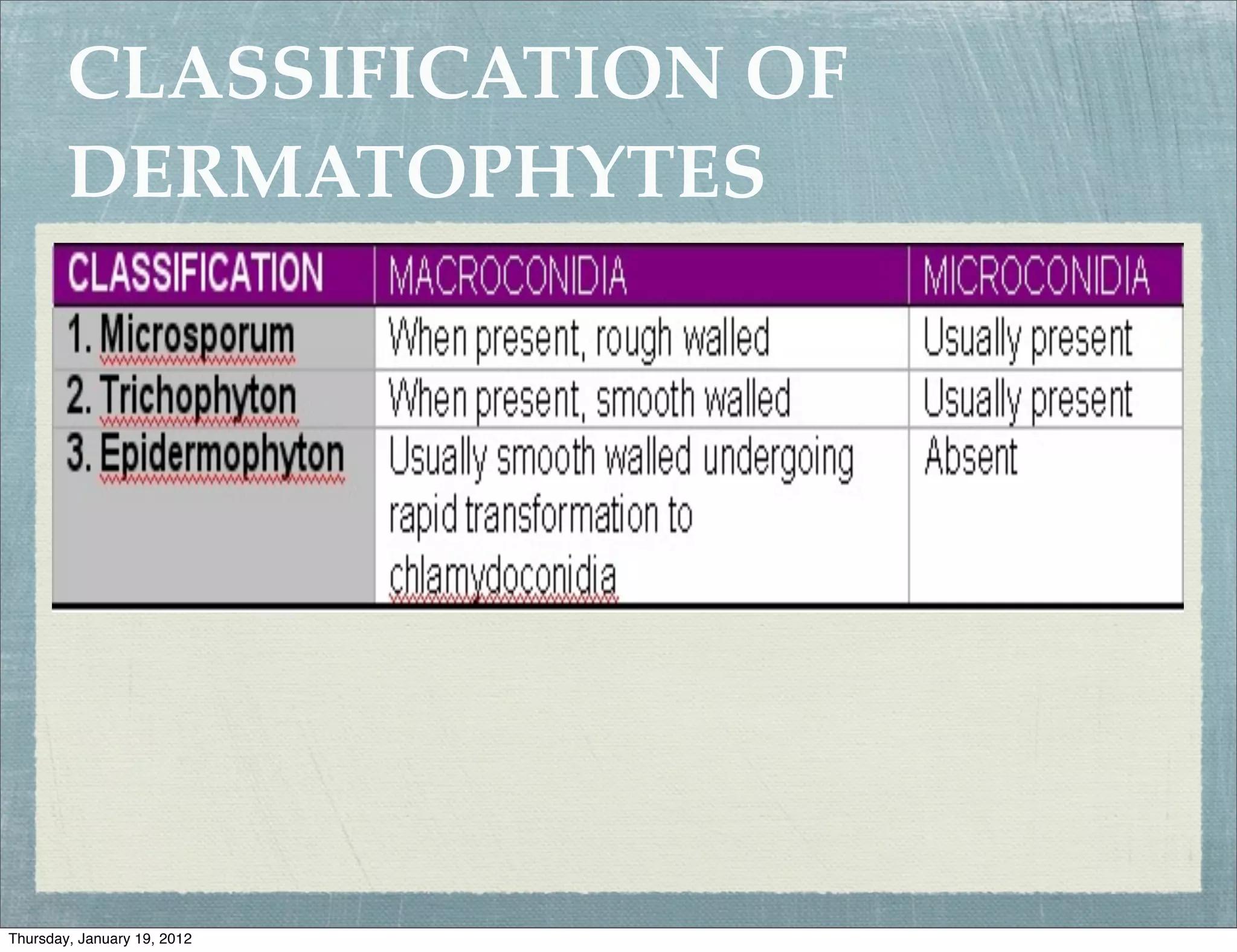 Superficial:cutaneous mycoses | PDF