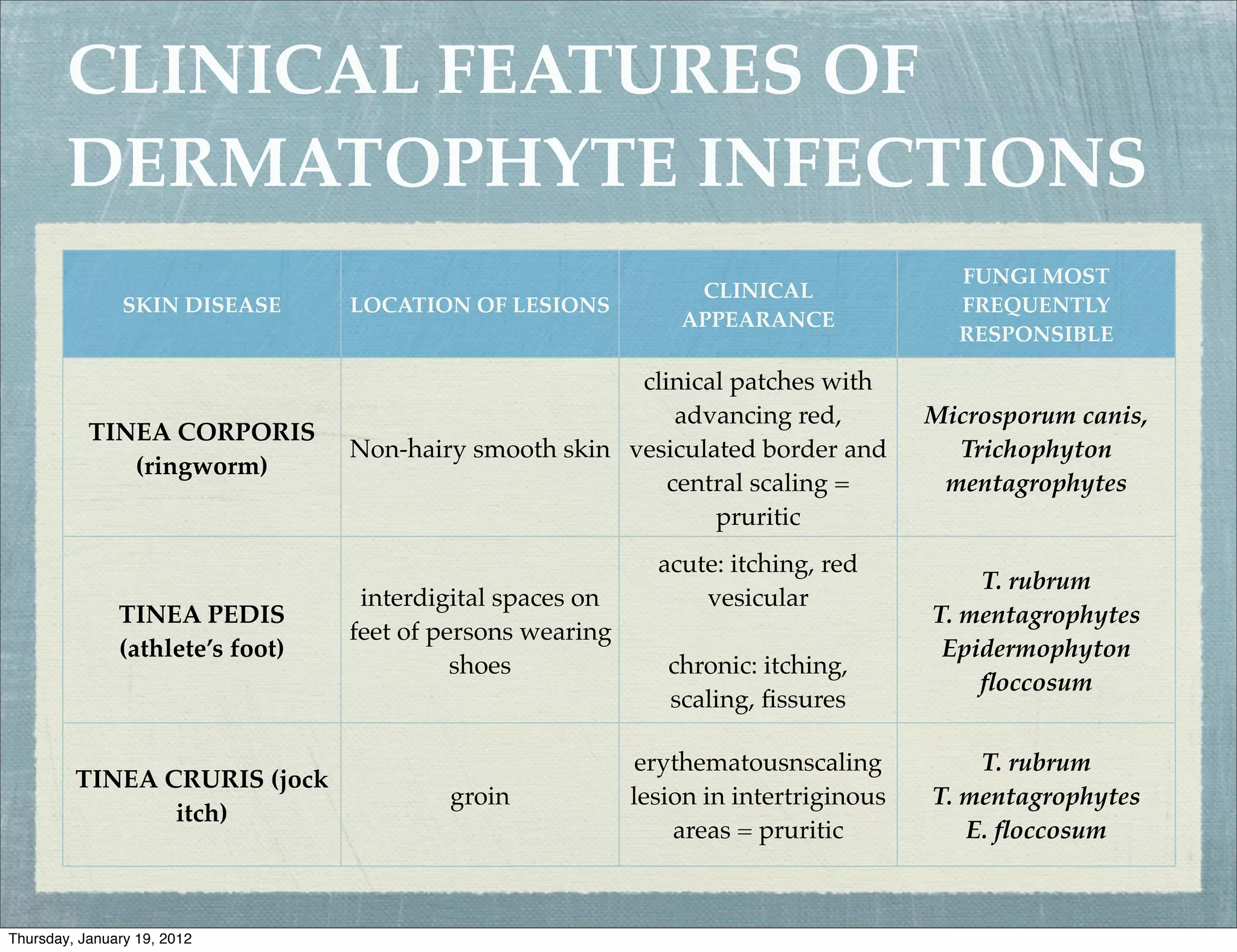 Superficial:cutaneous mycoses | PDF