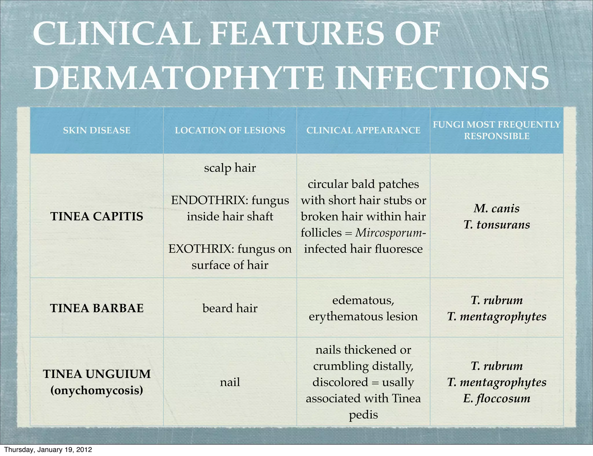 Superficial:cutaneous mycoses | PDF