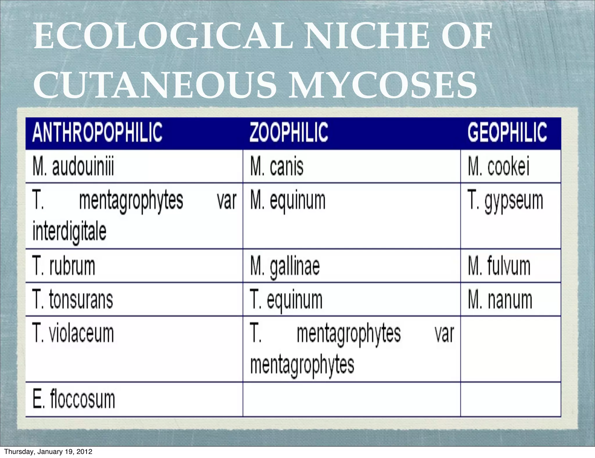 Superficial:cutaneous mycoses | PDF