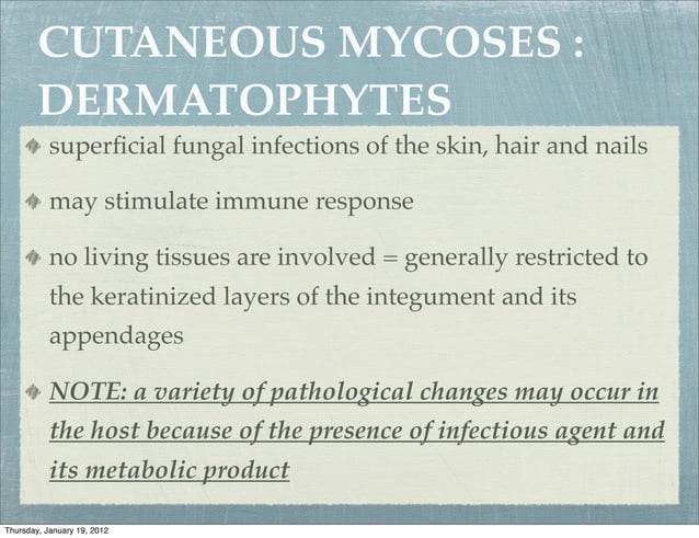 Superficial:cutaneous mycoses | PDF | Skin and Dermatology | Diseases and Conditions