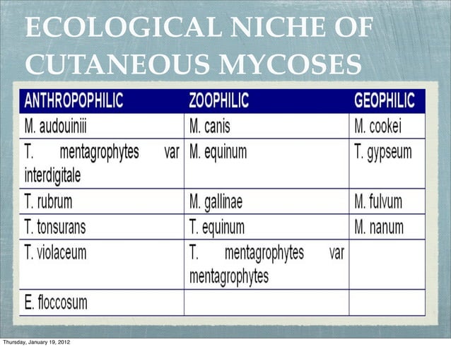 Superficial:cutaneous mycoses | PDF | Skin and Dermatology | Diseases ...