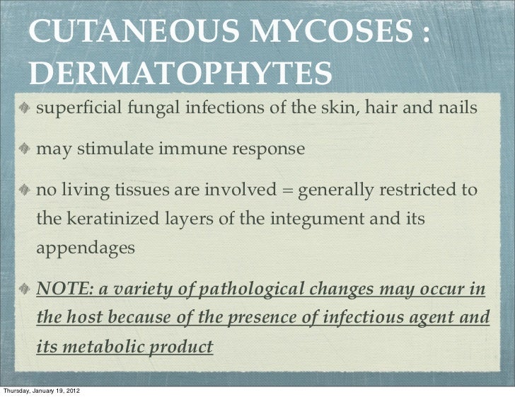 Superficial:cutaneous mycoses