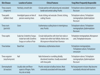Superficial & cutaneous mycoses | PPT
