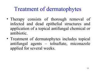 Superficial & cutaneous mycoses | PPT