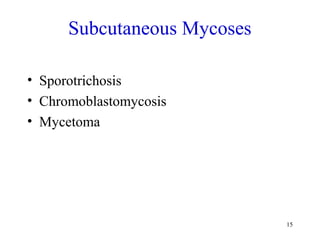 Superficial & cutaneous mycoses | PPT