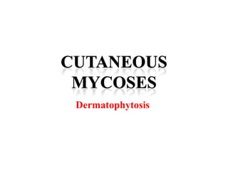 Superficial & cutaneous mycoses | PPT