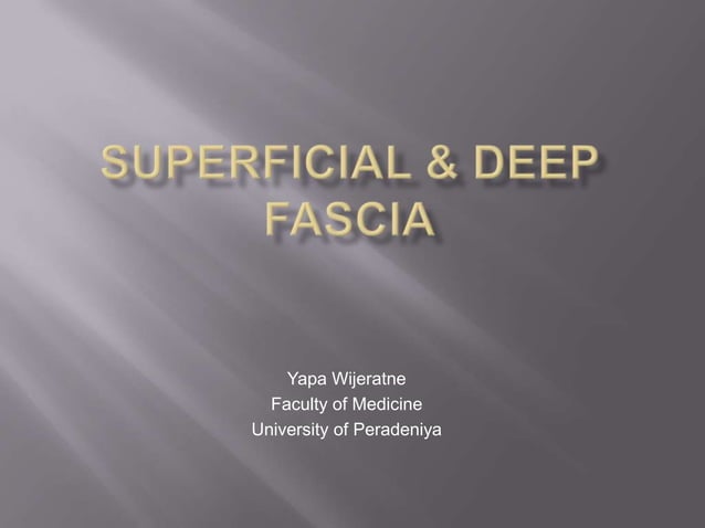 Superficial & deep fascia | PPTX | Skin and Dermatology | Diseases and ...