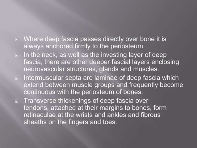 Superficial & deep fascia | PPTX | Skin and Dermatology | Diseases and ...