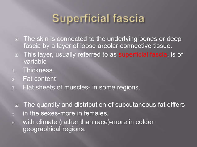 Superficial & deep fascia | PPTX | Skin and Dermatology | Diseases and ...