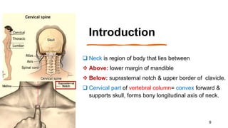 Superficial & Deep Fascia of the NECK.pptx