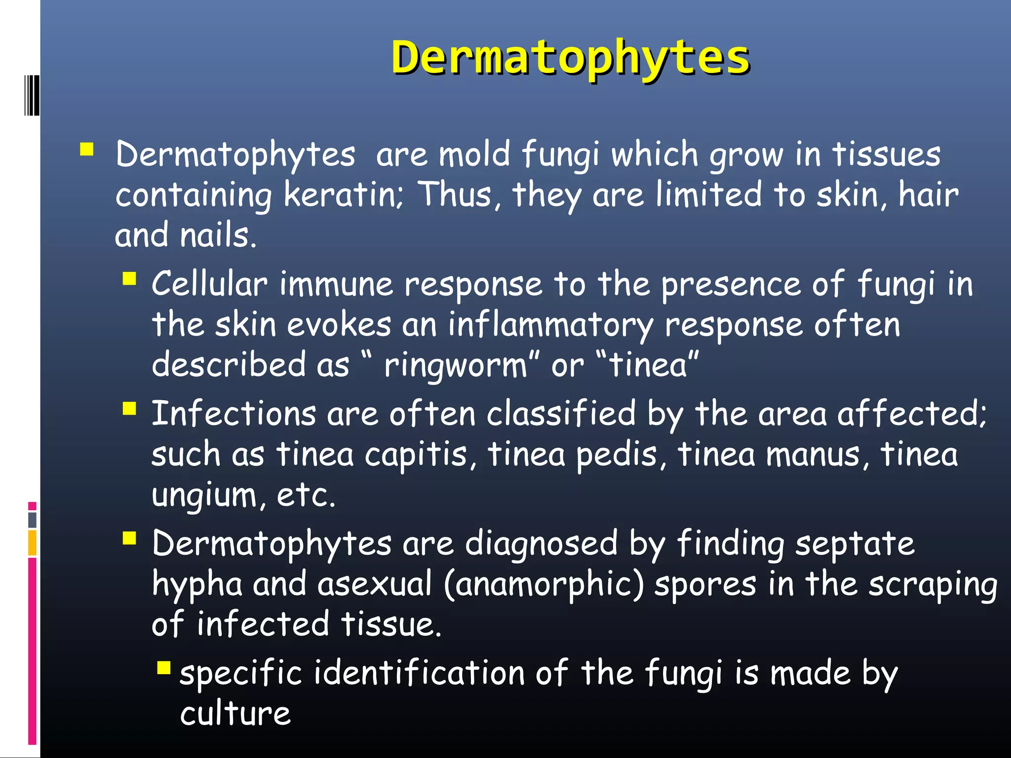 Superficial & dermatophyte 2 | PPT