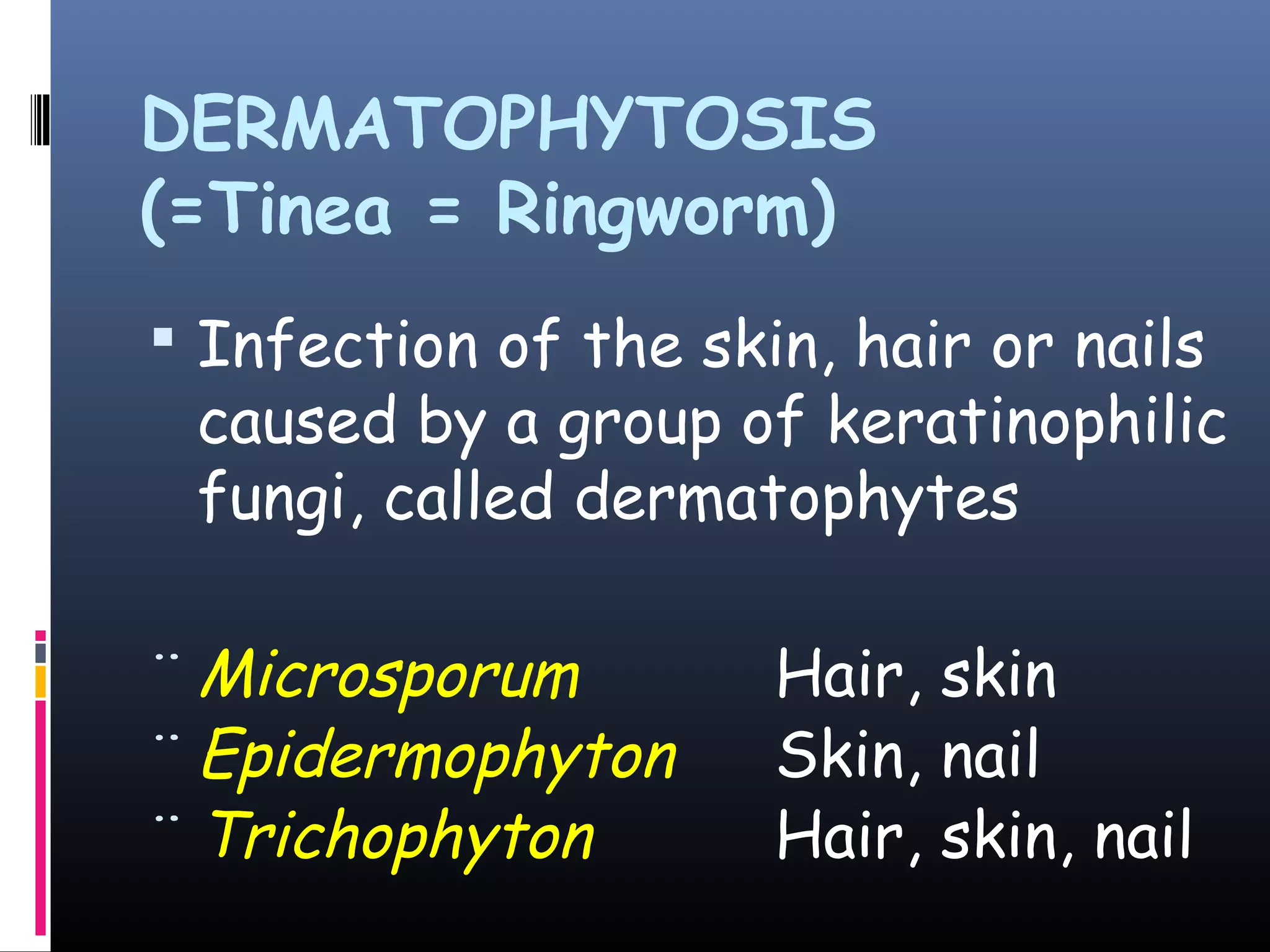Superficial & dermatophyte 2 | PPT