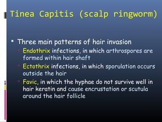 Superficial & dermatophyte 2 | PPT