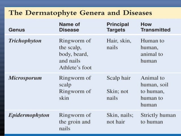 Superficial & dermatophyte 2