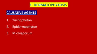 Superficial Fungal Infections | PPTX
