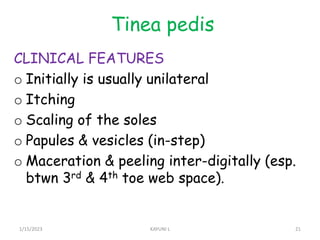 superficial fungal infections.pptx