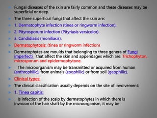 Superficial fungal skin infections.ppt