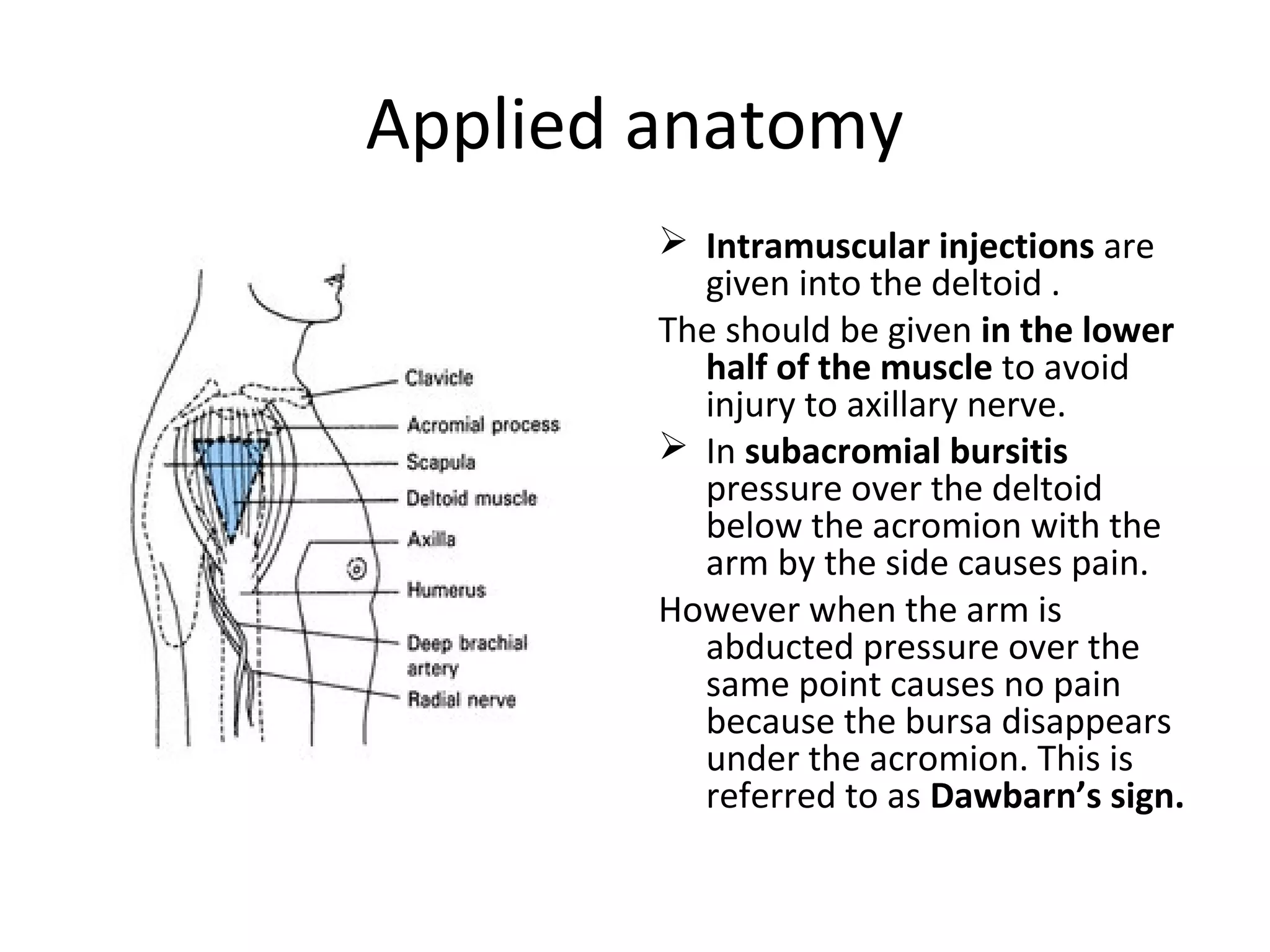 Superficial muscles of back | PPT