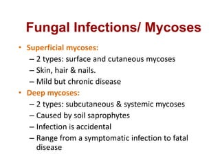 Superficial mycoses | PPTX | Skin and Dermatology | Diseases and Conditions