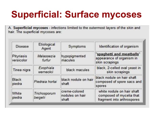 Superficial mycoses | PPTX | Skin and Dermatology | Diseases and Conditions