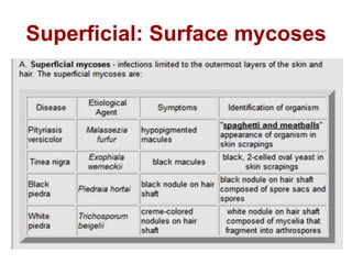 Mycoses Of The Skin Microbiology OpenStax, 50% OFF