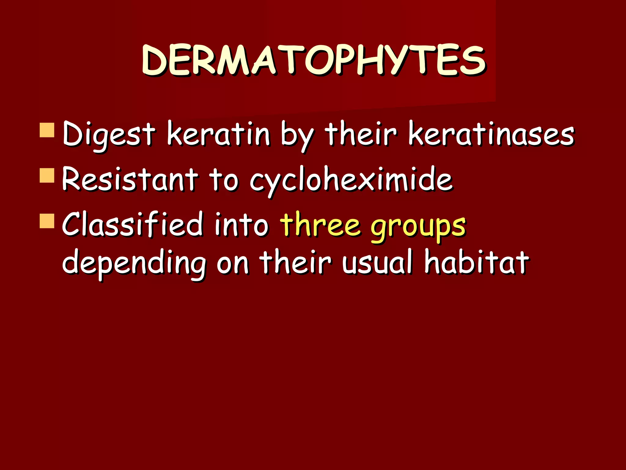 Superficial mycoses | PPT