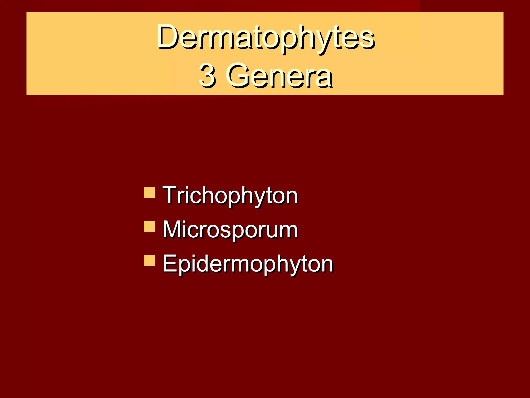 Superficial mycoses | PPT
